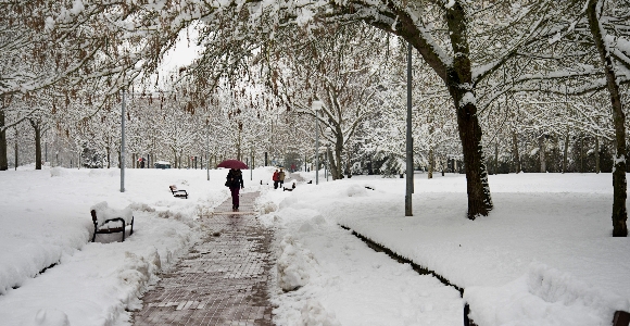 Cómo predecir nevadas extremas en España - EcoDiario.es Cómo predecir nevadas extremas en España - EcoDiario.es